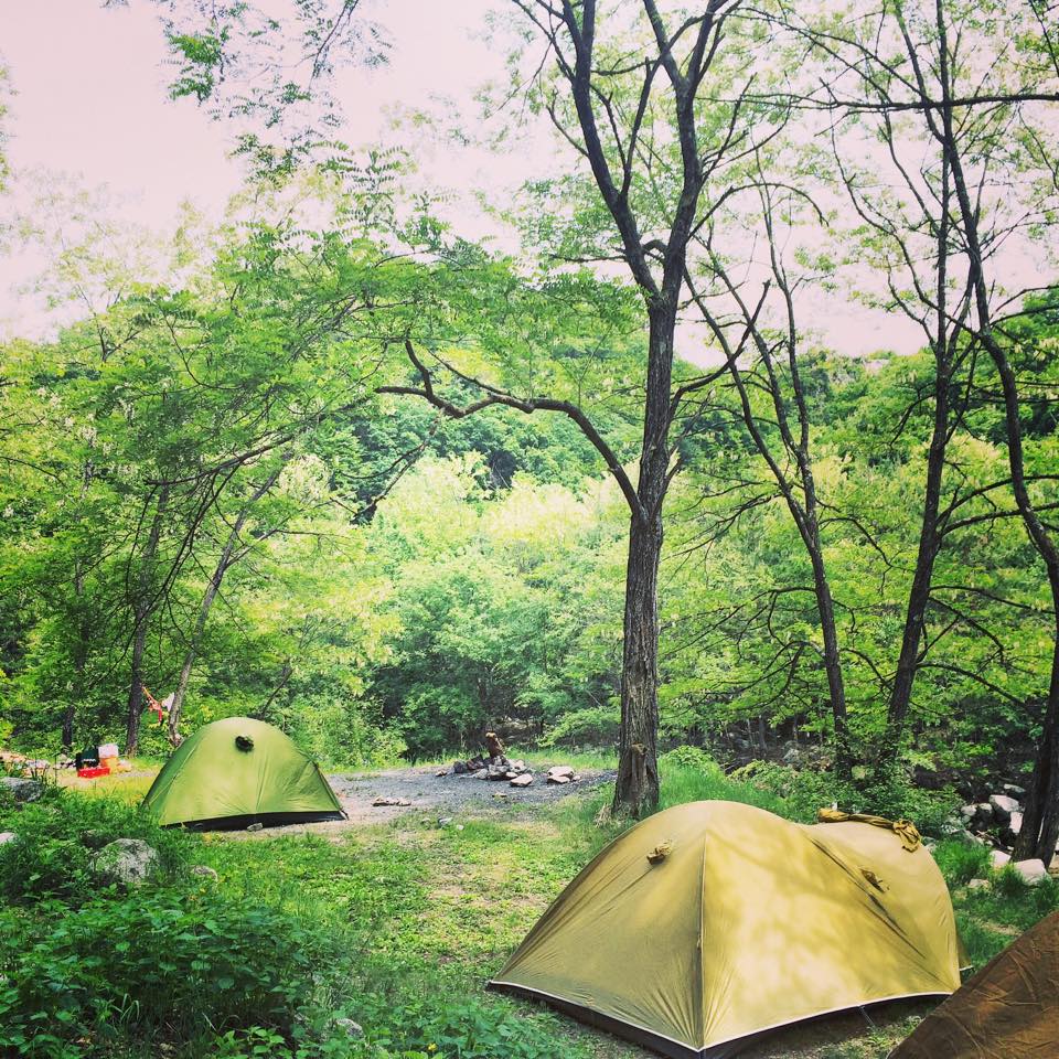 GWと5月の営業について | お知らせ｜NATURAL ANCHORS ナチュラルアンカーズ