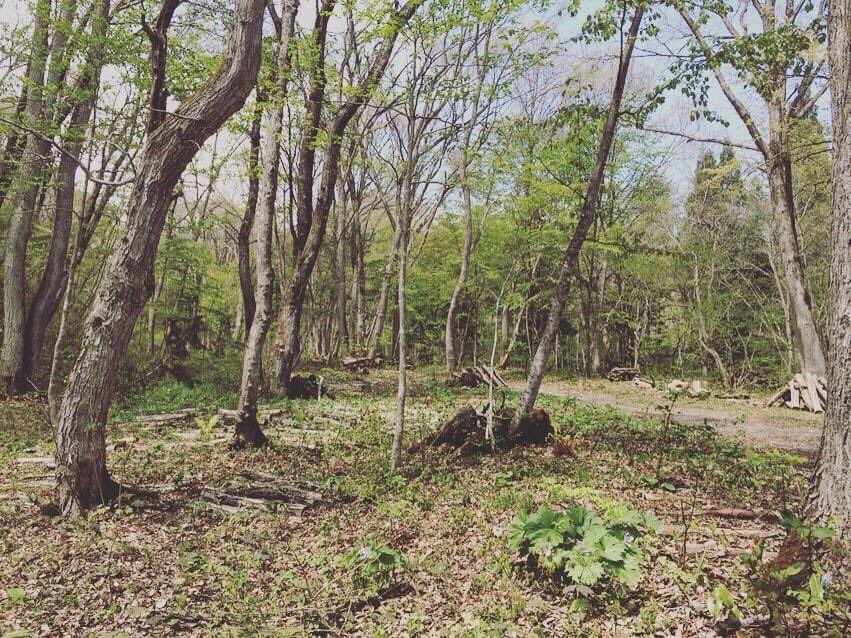 ニコルさん、ありがとうございました | お知らせ｜NATURAL ANCHORS ナチュラルアンカーズ