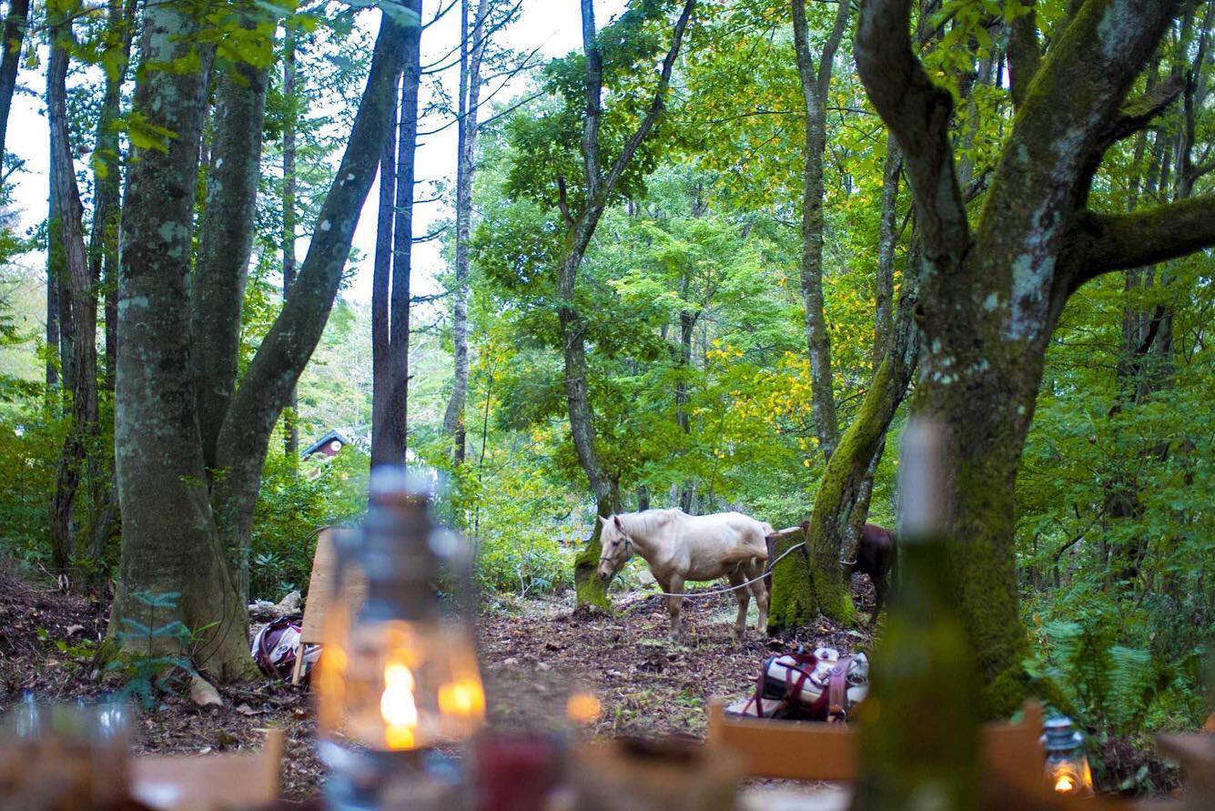 ニコルさん、ありがとうございました | お知らせ｜NATURAL ANCHORS ナチュラルアンカーズ